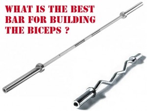 Building The Biceps: straight bar vs ez bar — Lee Hayward's Total ...