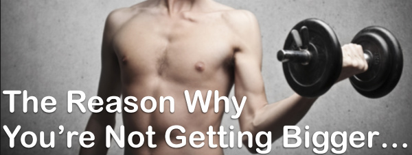 The Real Reason Why You're NOT Getting Bigger — Lee Hayward's Total ...